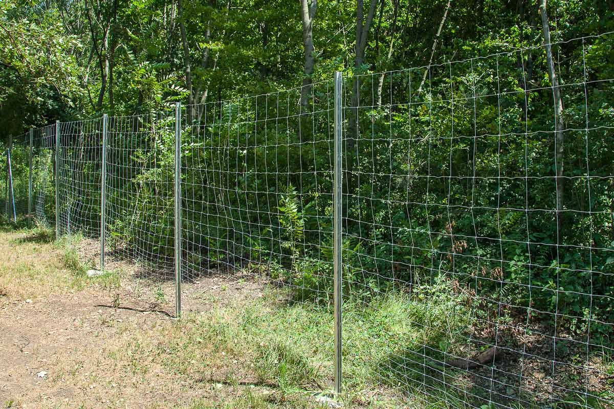 Weidezaun 50 m Set Taurus leicht - Höhe: 150 cm, inkl. 25 Pfosten ...